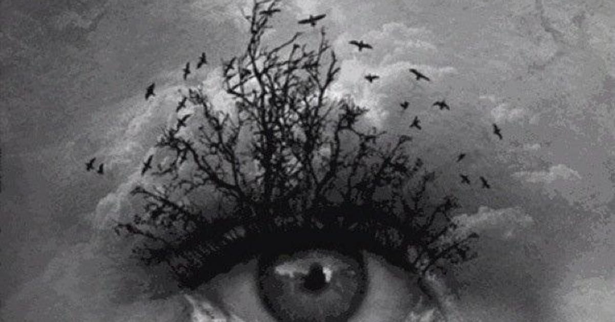 Elizabeth Mahaney - Tampa, Florida, South Tampa Therapy | about.me