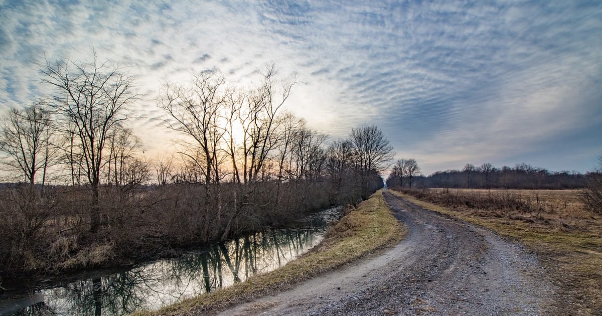 Dan Klausner - Indiana, Silver Birch Companies, Indiana University ...