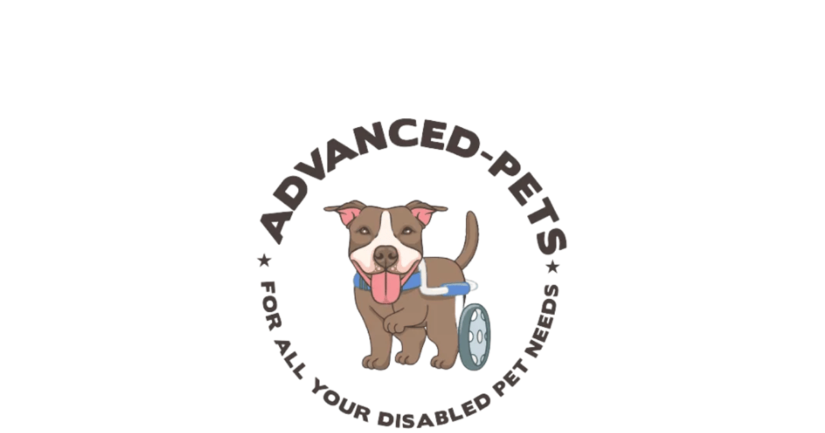 Advanced- Pets - Copiague New York | about.me