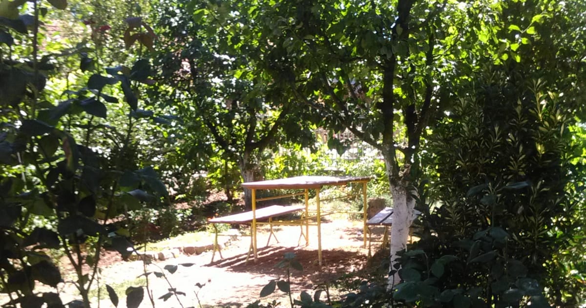 ivan milic - Долац Насеље, Србија | about.me