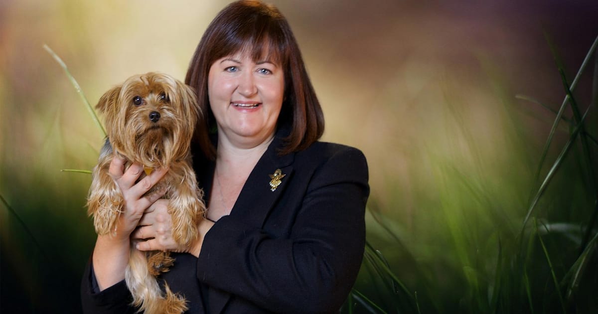 JENNIFER KREITZER - Cupertino, California | about.me