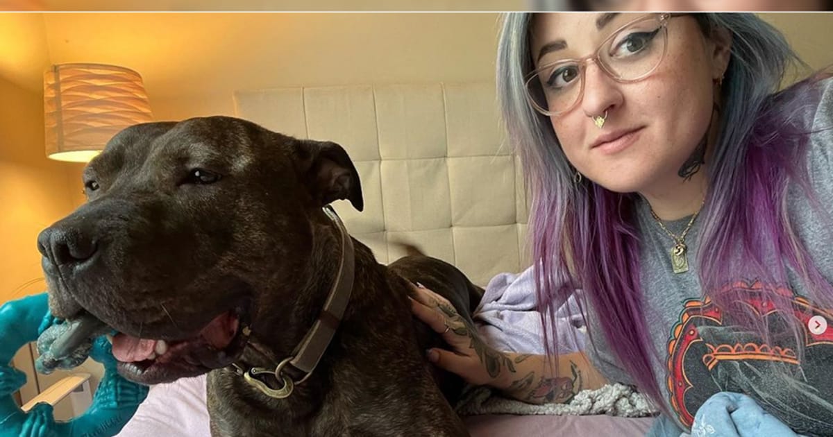 Alea Weil - Atlanta, GA, Kennesaw State University | about.me