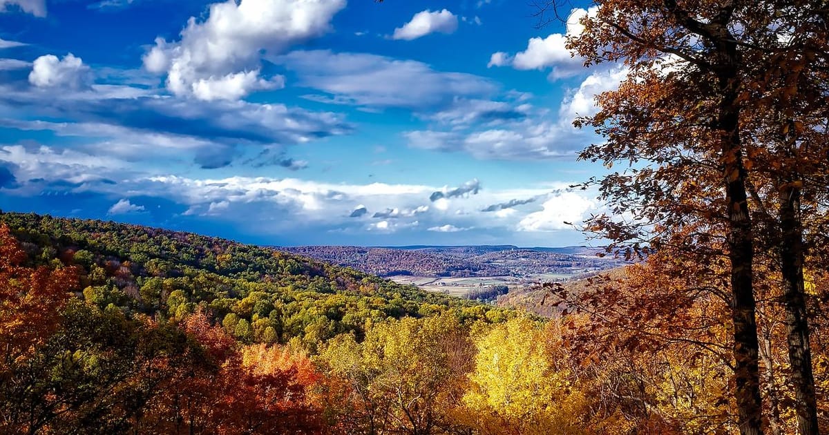 Alan S. Cohn - Owings Mills, Maryland, AbsoluteCARE, George Washington ...