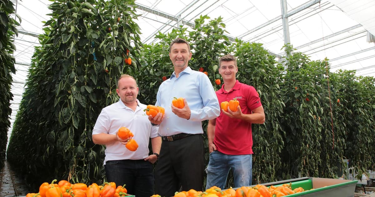 NatureFresh™ Farms - Leamington, Ontario, Canada | about.me