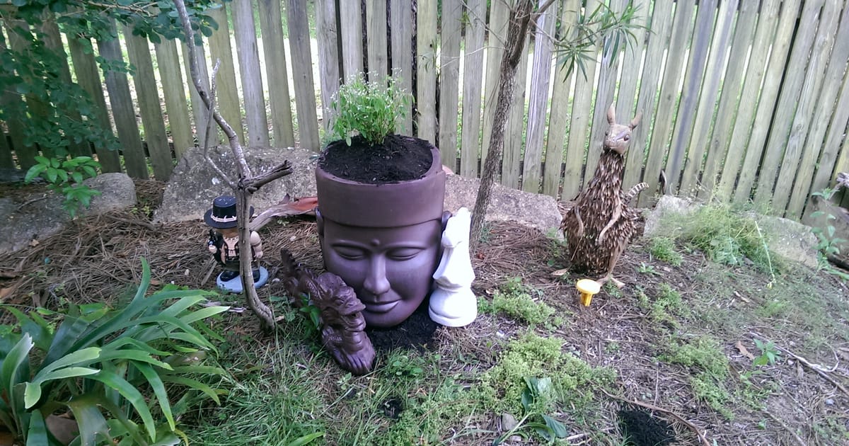 Terry Sweetser - Australia, QUT Graduate Business School, QUT School of ...