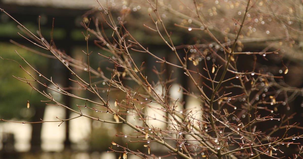 Pat Graham - Melbourne VIC, Australia, Selectronic Australia, Monash ...