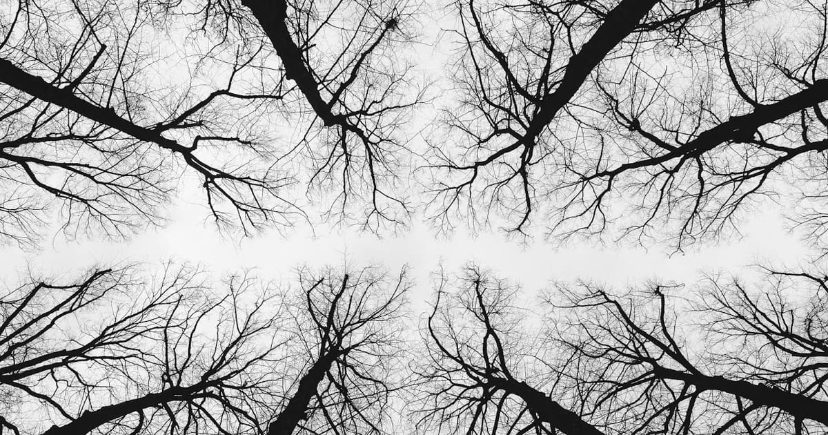 Jamie "Astari" Pool - Las Vegas, Nevada, It Girls & Co., TritonCollege ...