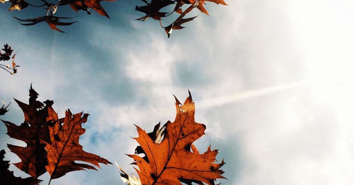 Kate Klonick - New Haven, Connecticut, Yale Law School Information ...