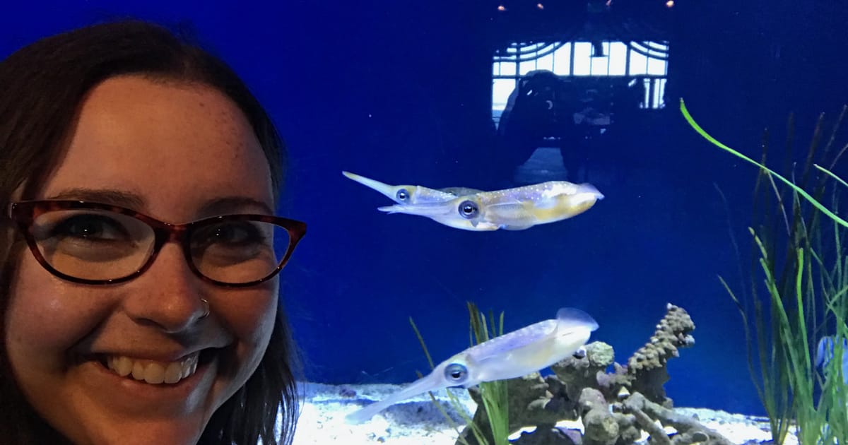 Sarah McAnulty - Windham, Connecticut, University of Connecticut ...