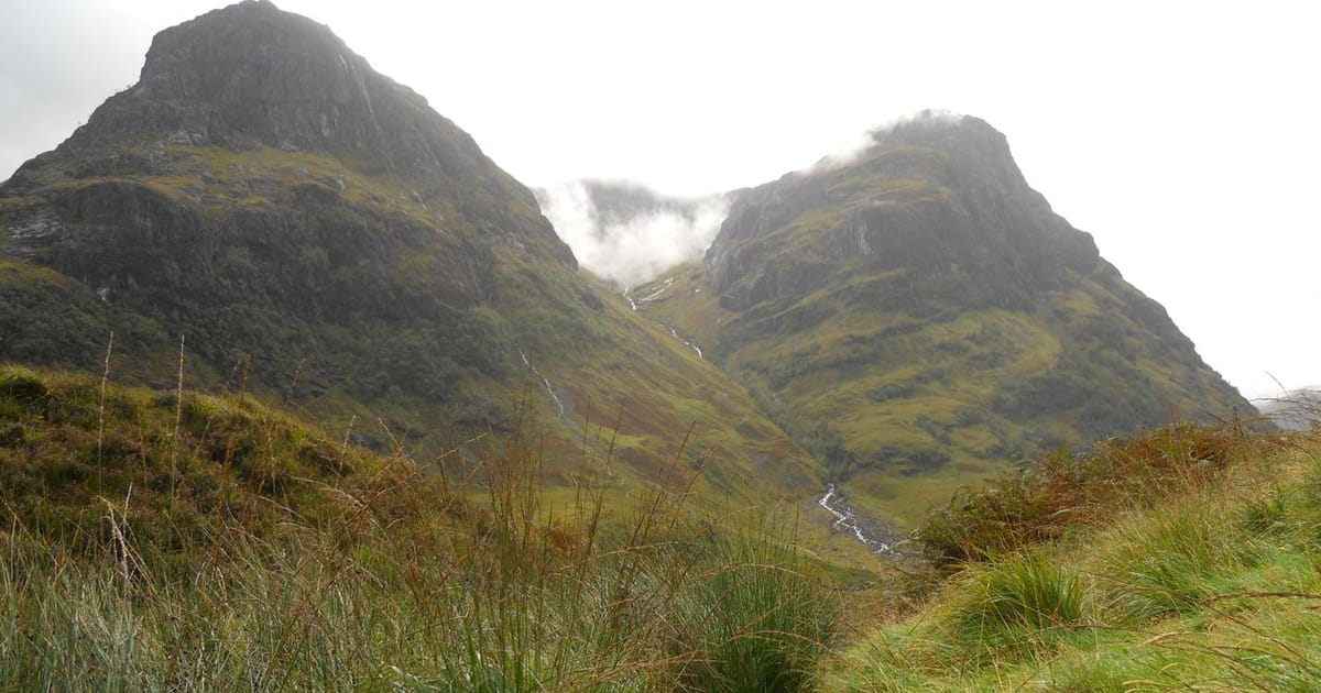 Amy Pecora - Royal Oak, Michigan, Ethan Allen Inc, BFA Interior Design ...