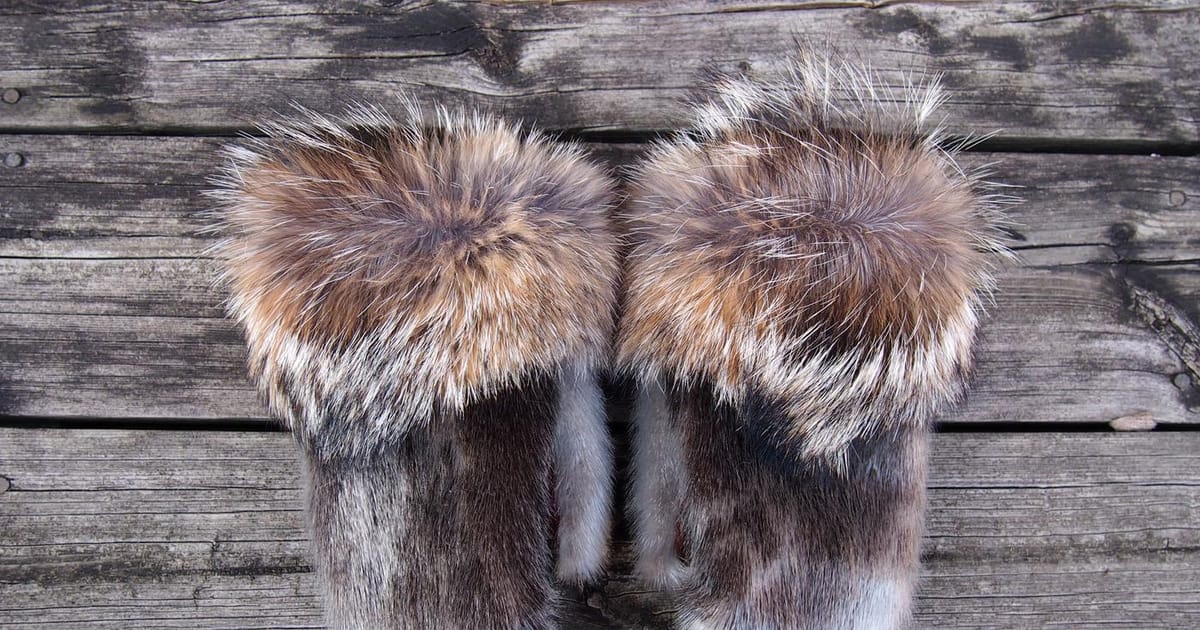 Beely Huang - Toronto | about.me