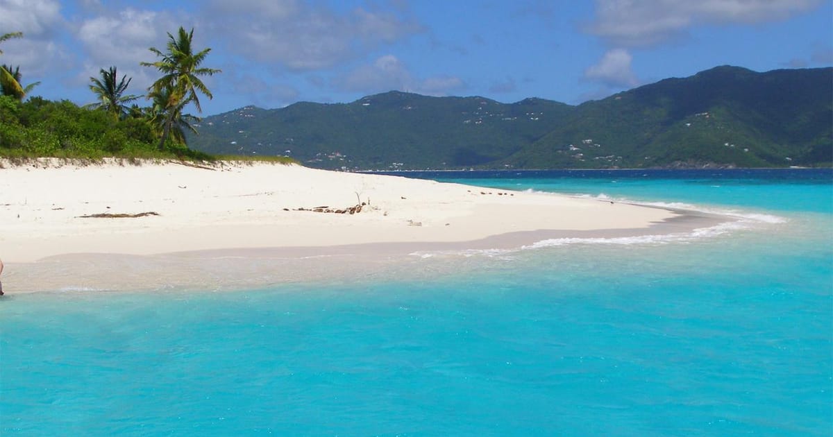 Dena Cook - Santa Monica, California, UC Davis | about.me