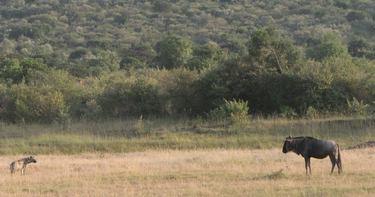 Jennifer Huizen - Bow, NH, MedicalNewsToday Mongabay.com , Acadia ...