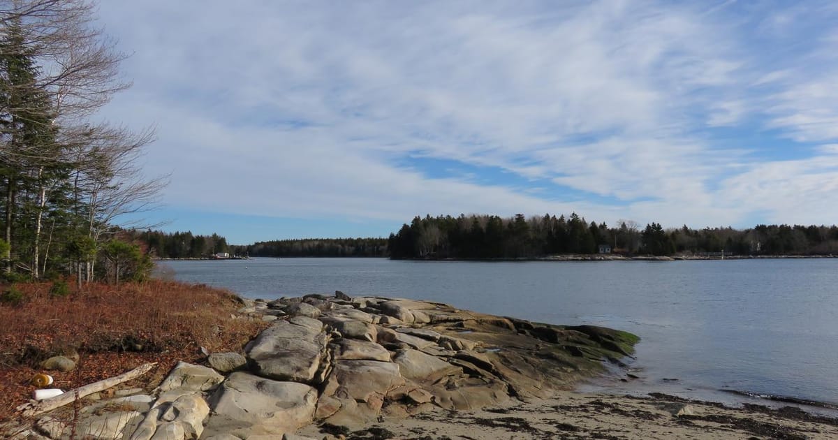 Jonathan Cheah - New York, Hospital for Special Surgery, University ...