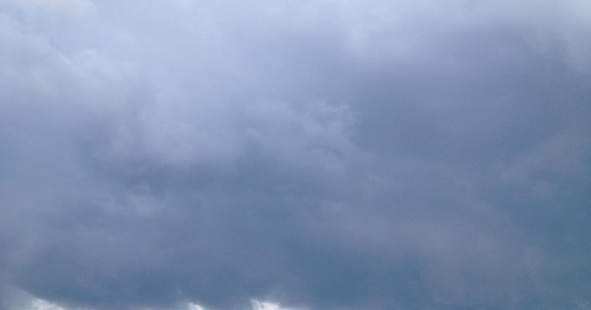 Robyn York - Toronto, Ontario, Canada, Gallery 44 | about.me