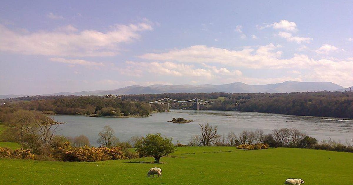 Steve Cowie - Llandudno, United Kingdom, UK, Europe, University of ...