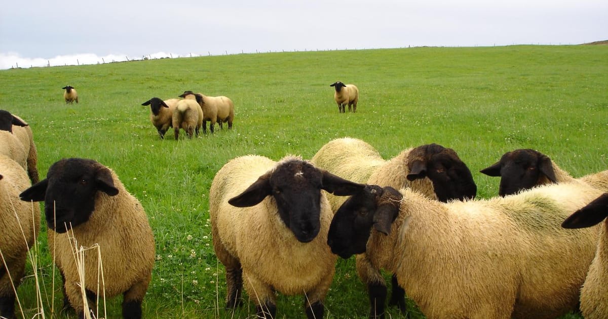 Lídia Cordero Triay - Blanquerna FCRI, Universitat Oberta de Catalunya ...