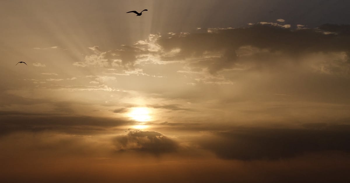 Scott Fish - Franklin, Tennessee, UP Development, Ferris State ...