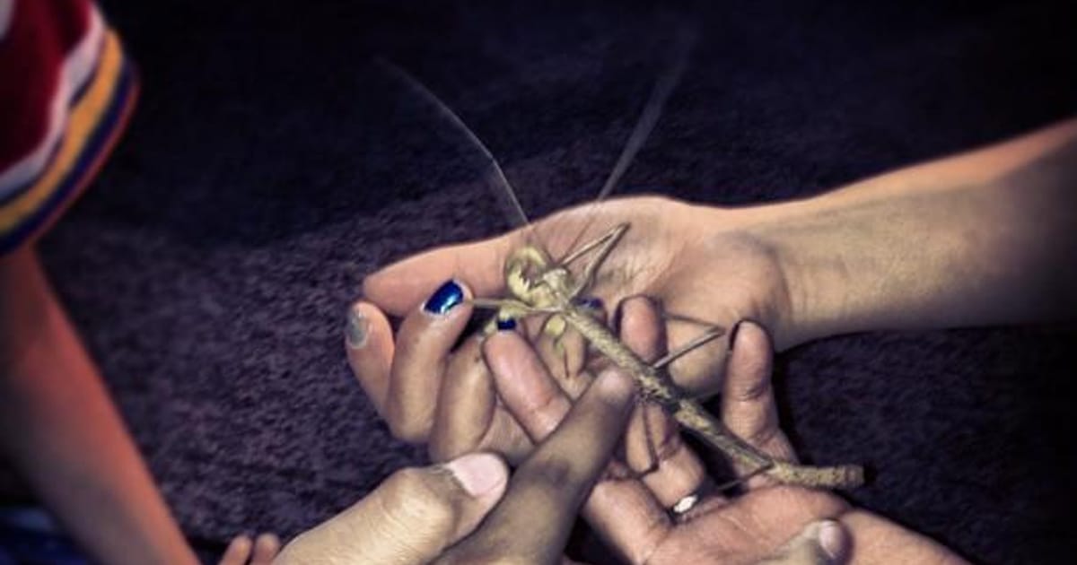 Ines Gabric - Squamish, British Columbia, Canada, Self Employed, BCIT ...