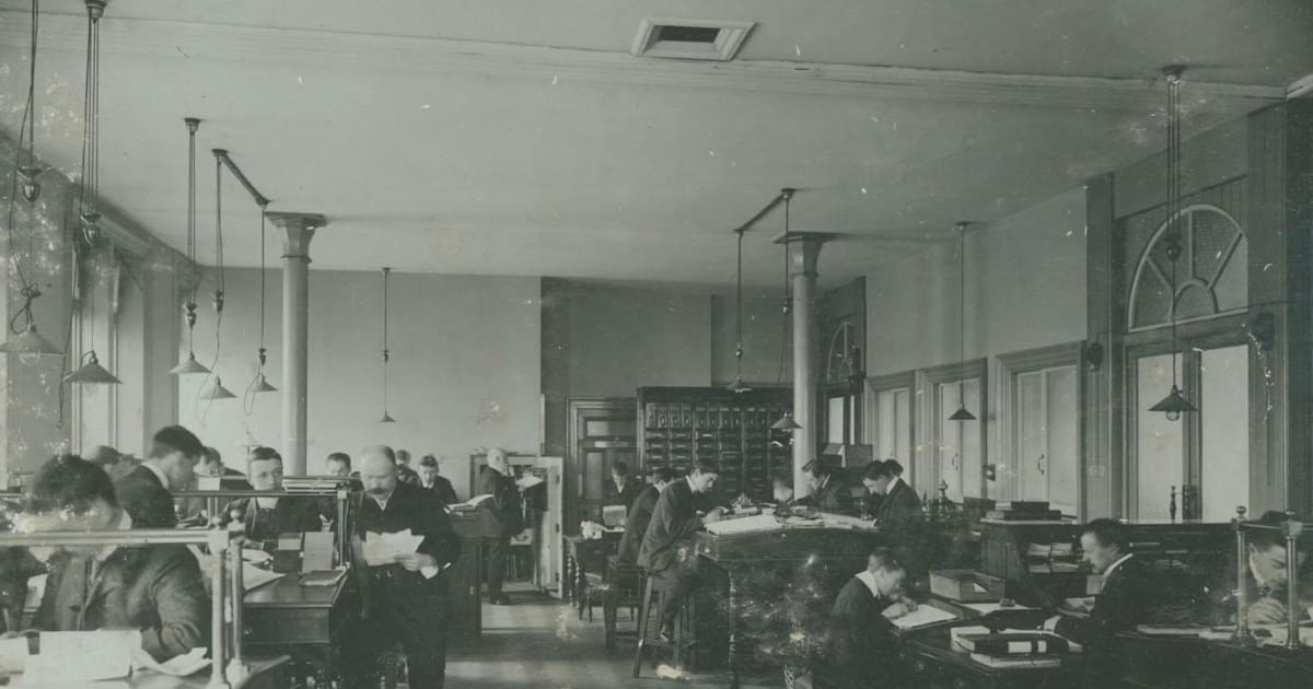 Kristopher Nelson - San Diego, California, kNk Advising, UC San Diego ...