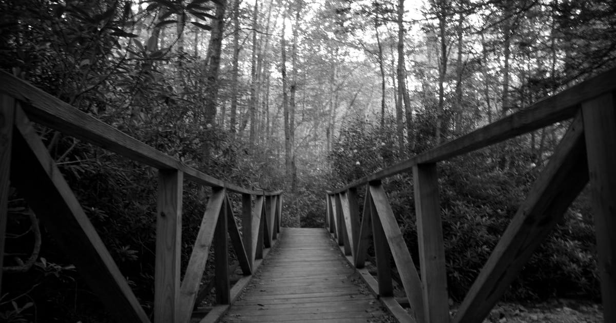Wesley Logsdon - Wellington, Florida, The Benjamin School, Piedmont ...