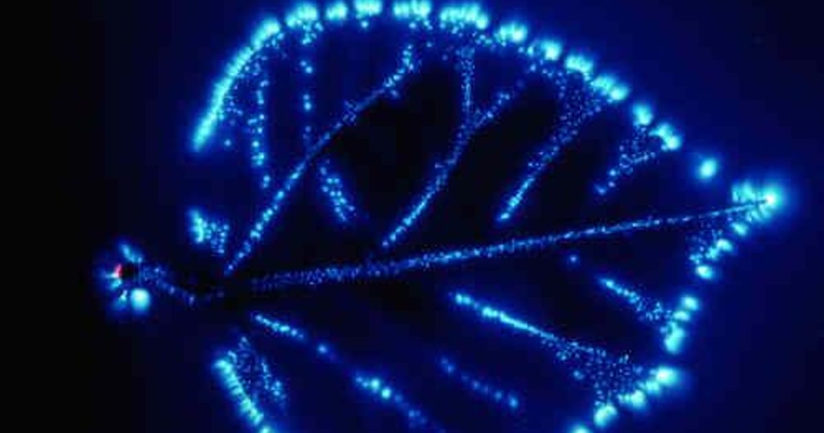 Keith J Steidle - Cape May, New Jersey, AT & T, University of Michigan ...