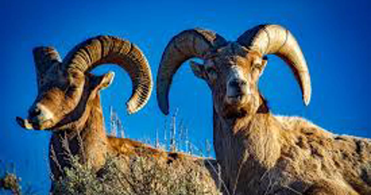 Brooke Askin - Canada | about.me