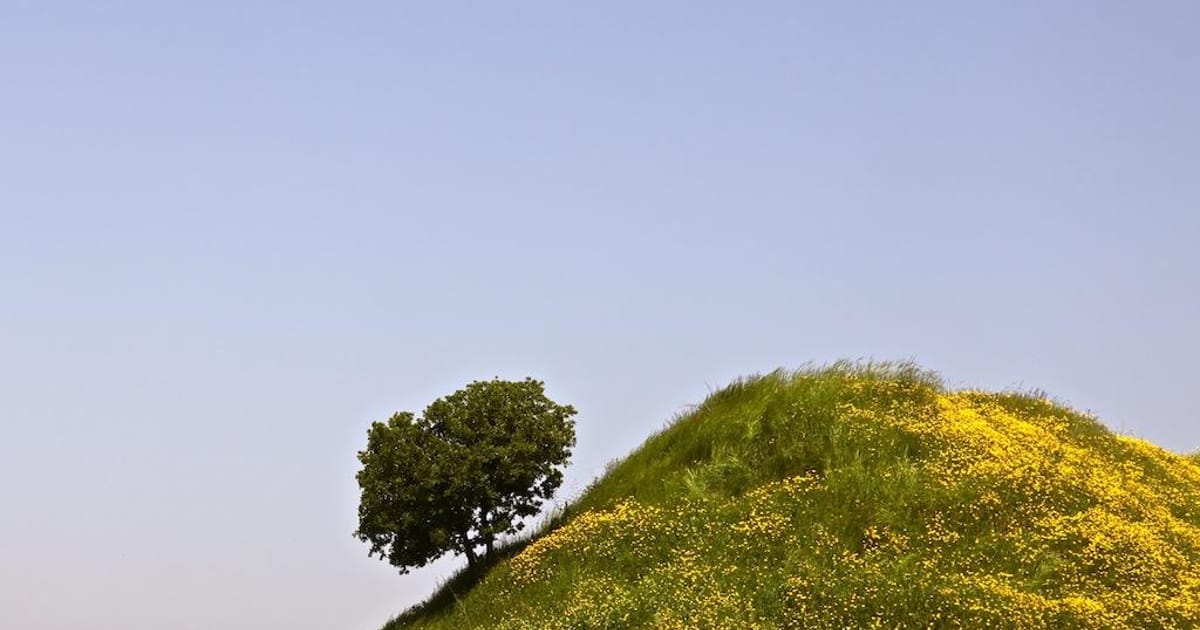 Steve Disher - North Carolina, DMin Fuller Theological Seminary | about.me