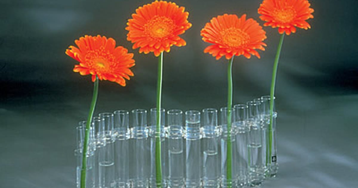 Margo Zender - Belvedere, California | about.me