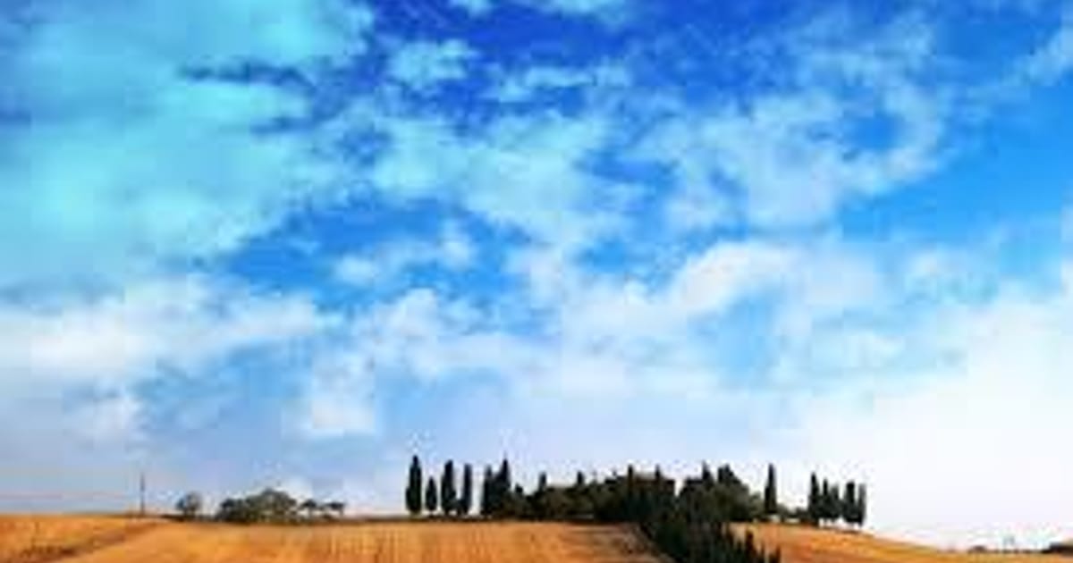 Edward Boler - New York, Management Consultency, New York Law School ...