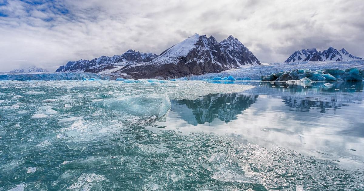 Lauri Novak - Illinois, Photographer | about.me