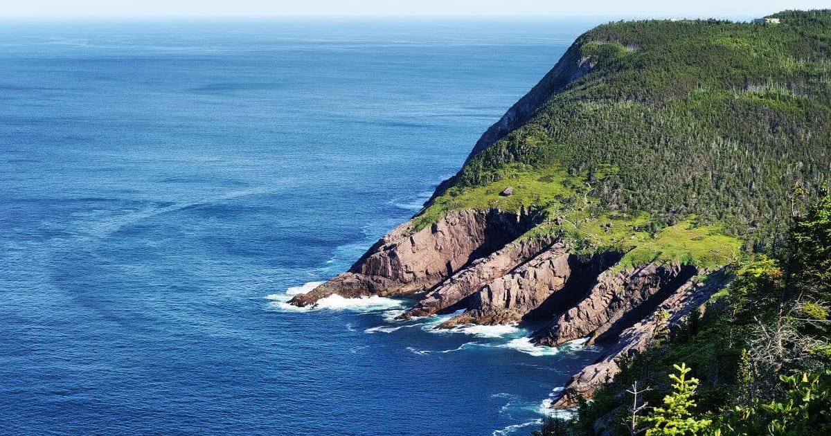 Niamh Redmond - Remote across US & Canada (East coast based) | about.me