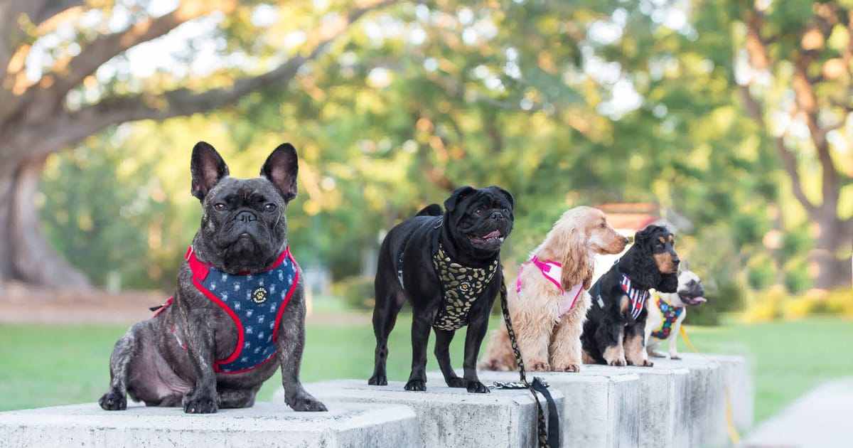 Winston Manner - Hamilton, Australia | about.me