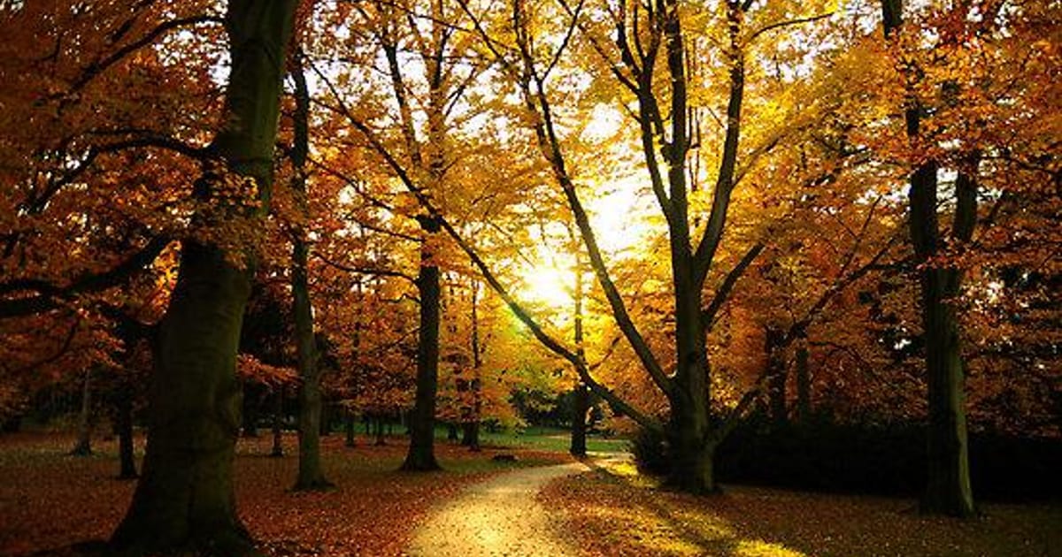 Terry Prosser - Ras al Khaimah - United Arab Emirates | about.me