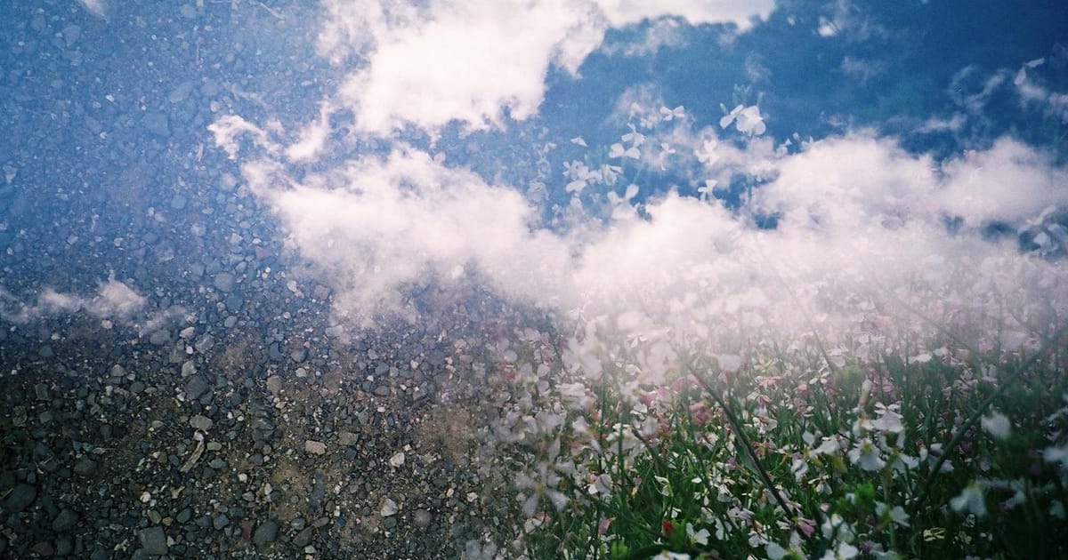 Ethan Venable - Vacaville, California, Walgreens, Solano Community ...