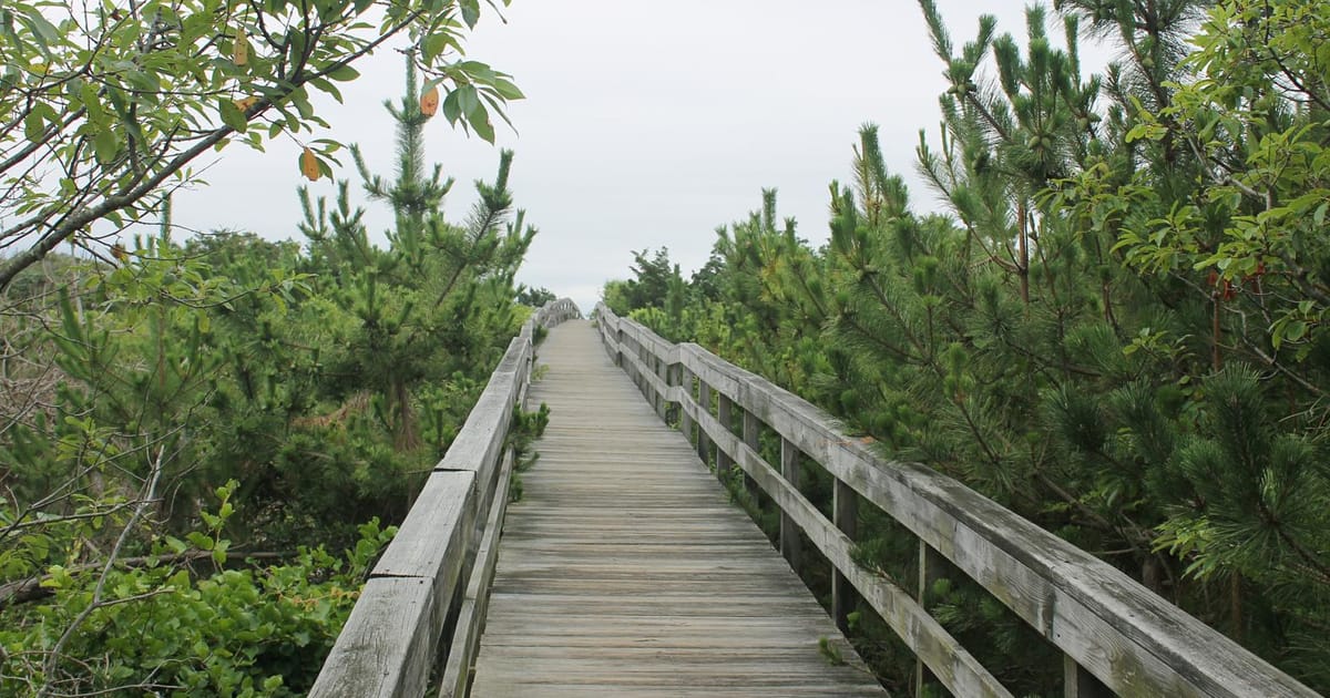 Jeff Liwag - Los Angeles, California, Instructional Technology ...