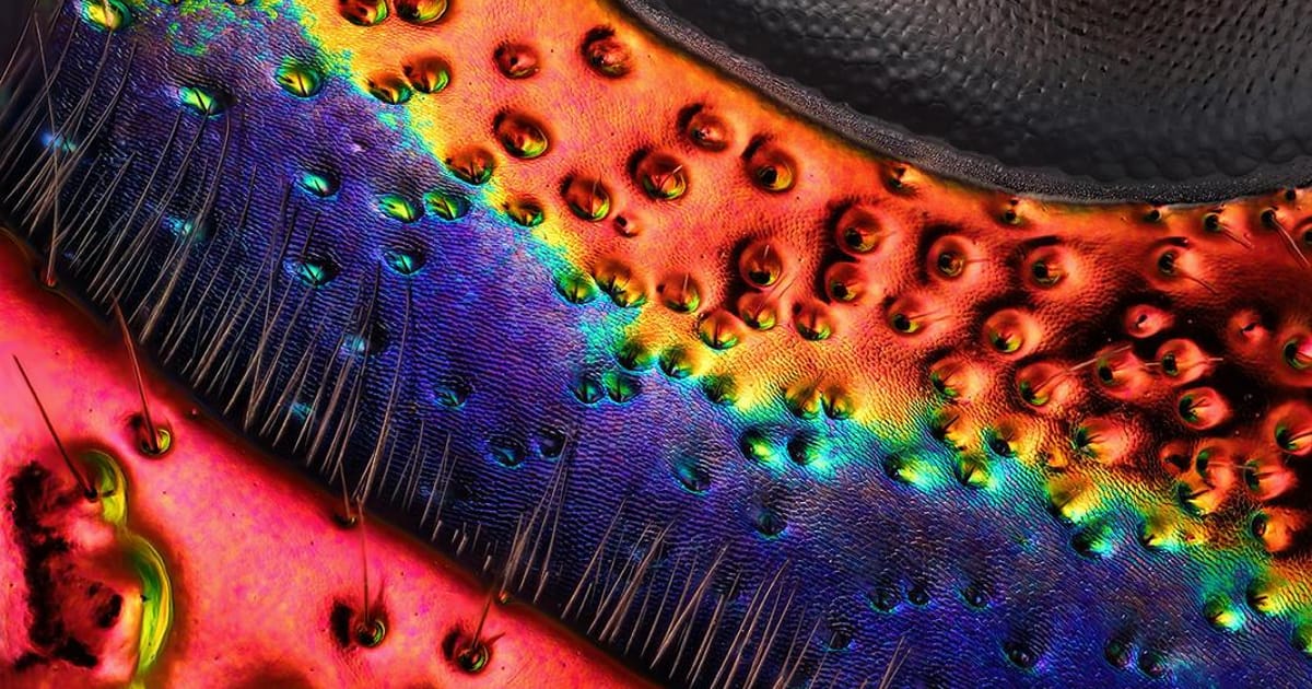 Hidden Intelligence - the United Kingdom | about.me