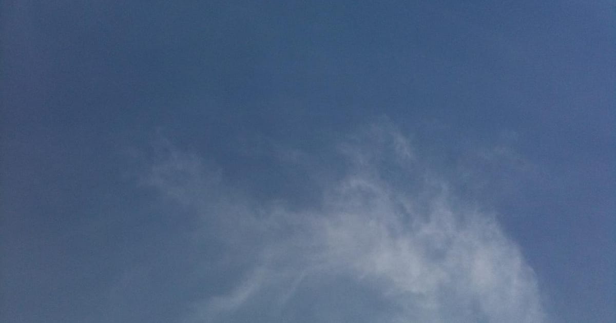 Niall Handy - Dublin, Ireland, Bar of Ireland | about.me