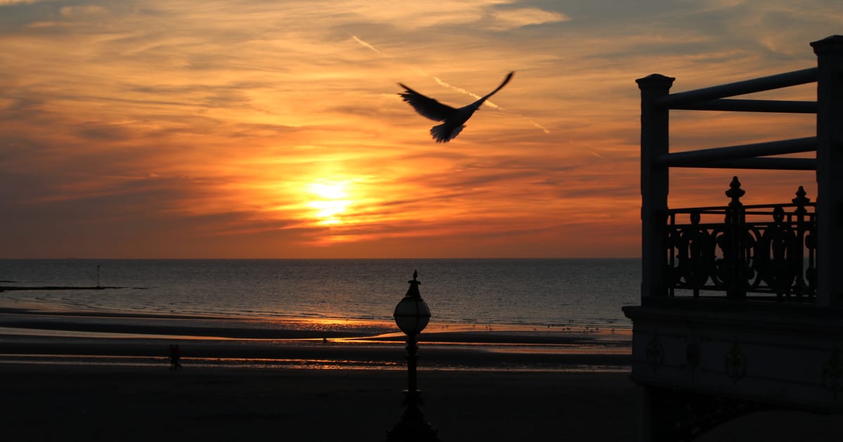 Jonathan Gilmore - England, United Kingdom, University of the ...