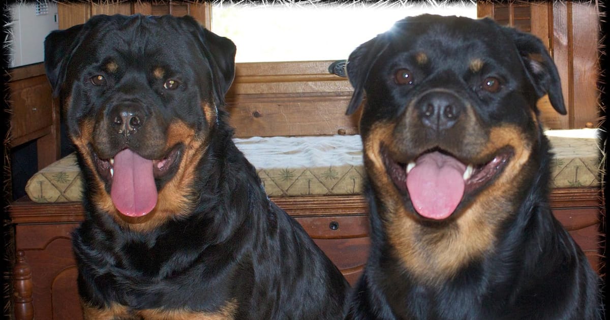 Donald Perreault - Bonita Springs, Florida, Licensed Gunsmith, Computer ...