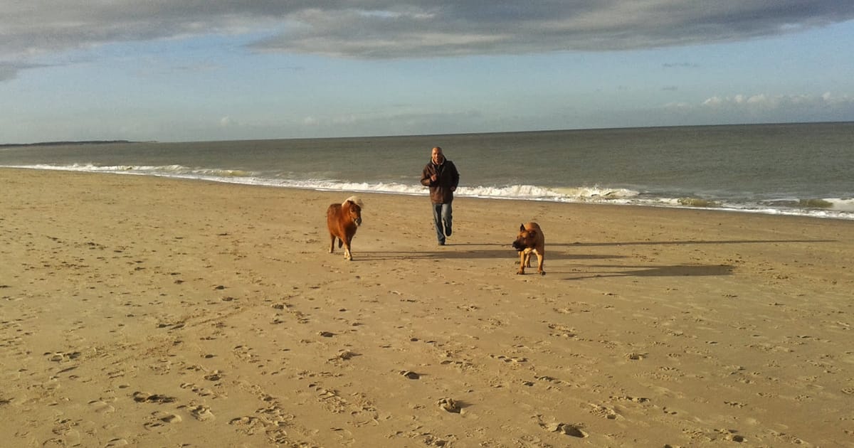 Anja Putters - Goes, Nederland, Master Zorg Ethiek en Beleid, Sociaal ...