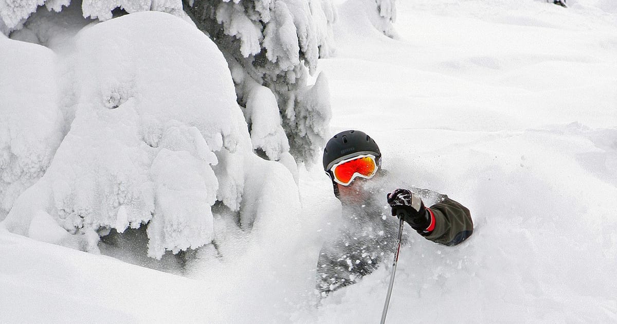 MIKE COUSINS - Calgary, Alberta, Canada, University of Victoria | about.me