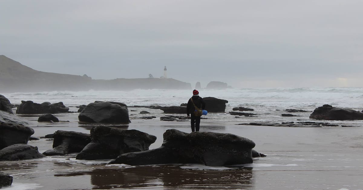 Justin Burger - Portland, OR, Development Directory, CDK, Technical ...