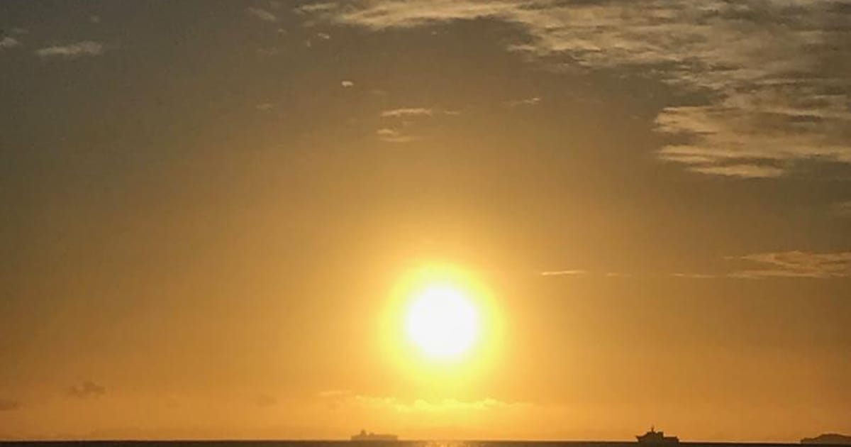 Shawn Hamman - Auckland, New Zealand, Vector Technology Solutions ...