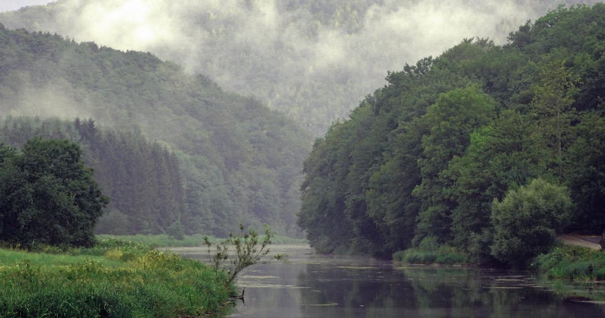 Jennifer Emick - Detroit, Michigan | about.me