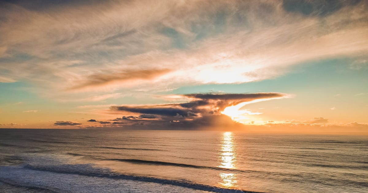 Nala Veda - Austin, TX | about.me