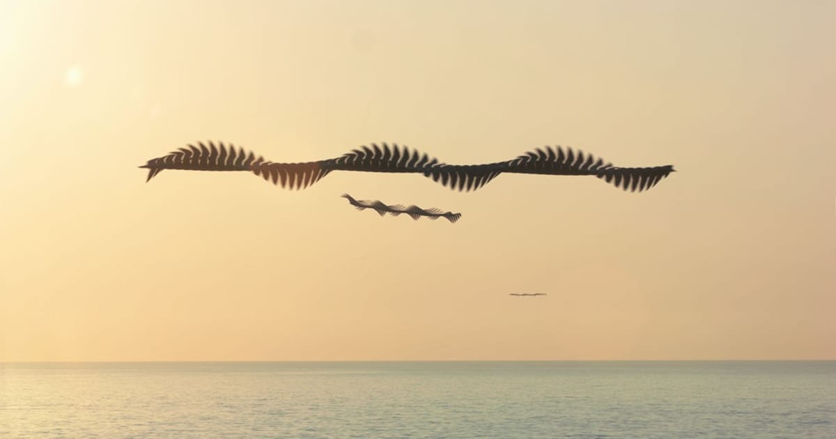 Daniel Swan - London, United Kingdom, The Creators Cafe' | about.me