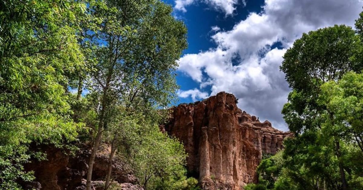 Rose Garalde - USA | about.me