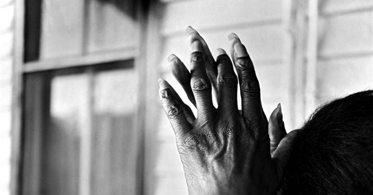 hal morris - New York, Human | about.me