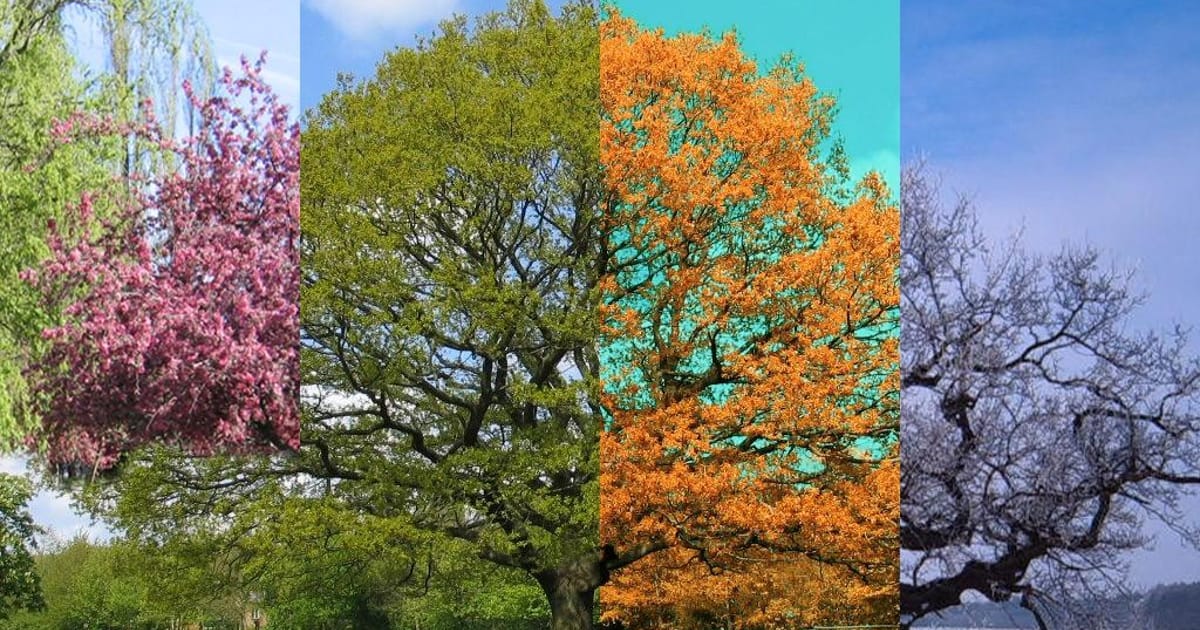 Luc Ooms - Houthalen-Helchteren, België | about.me